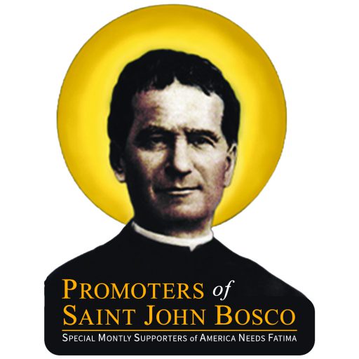 At SaintJohnBosco.net we want everyone to know more about Saint John ...